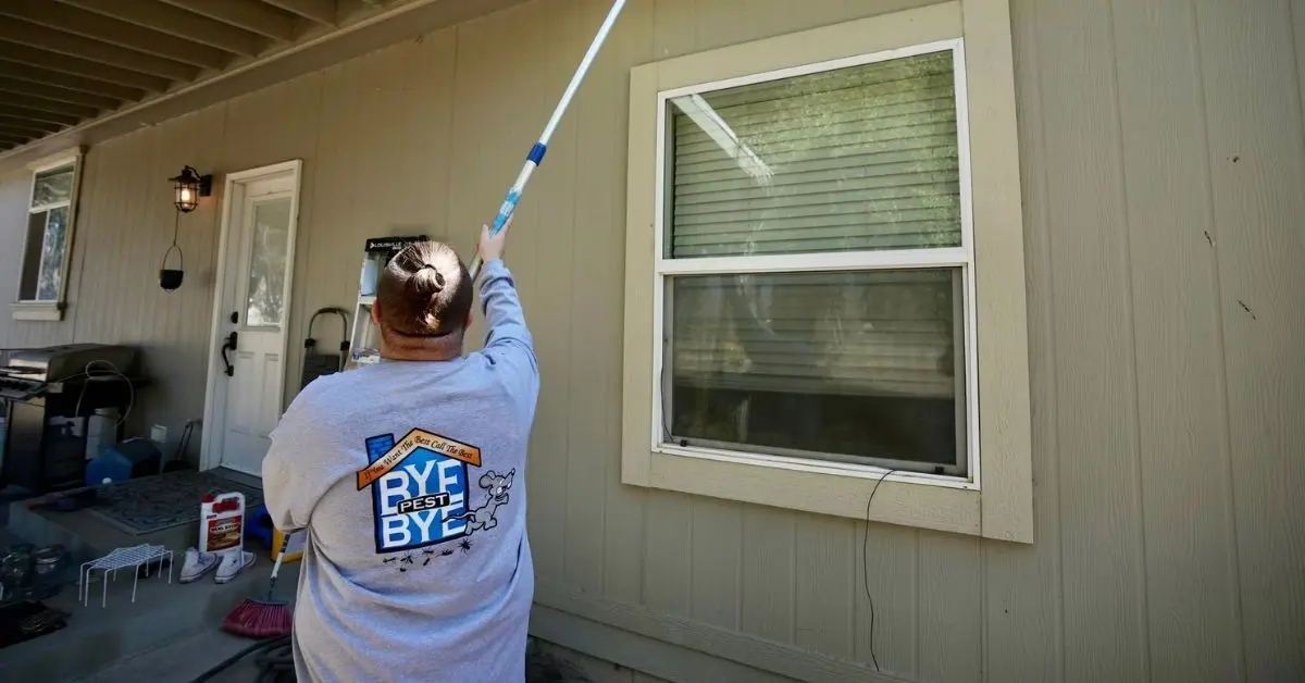 Frequently Asked Questions - Bye Bye Pest Control